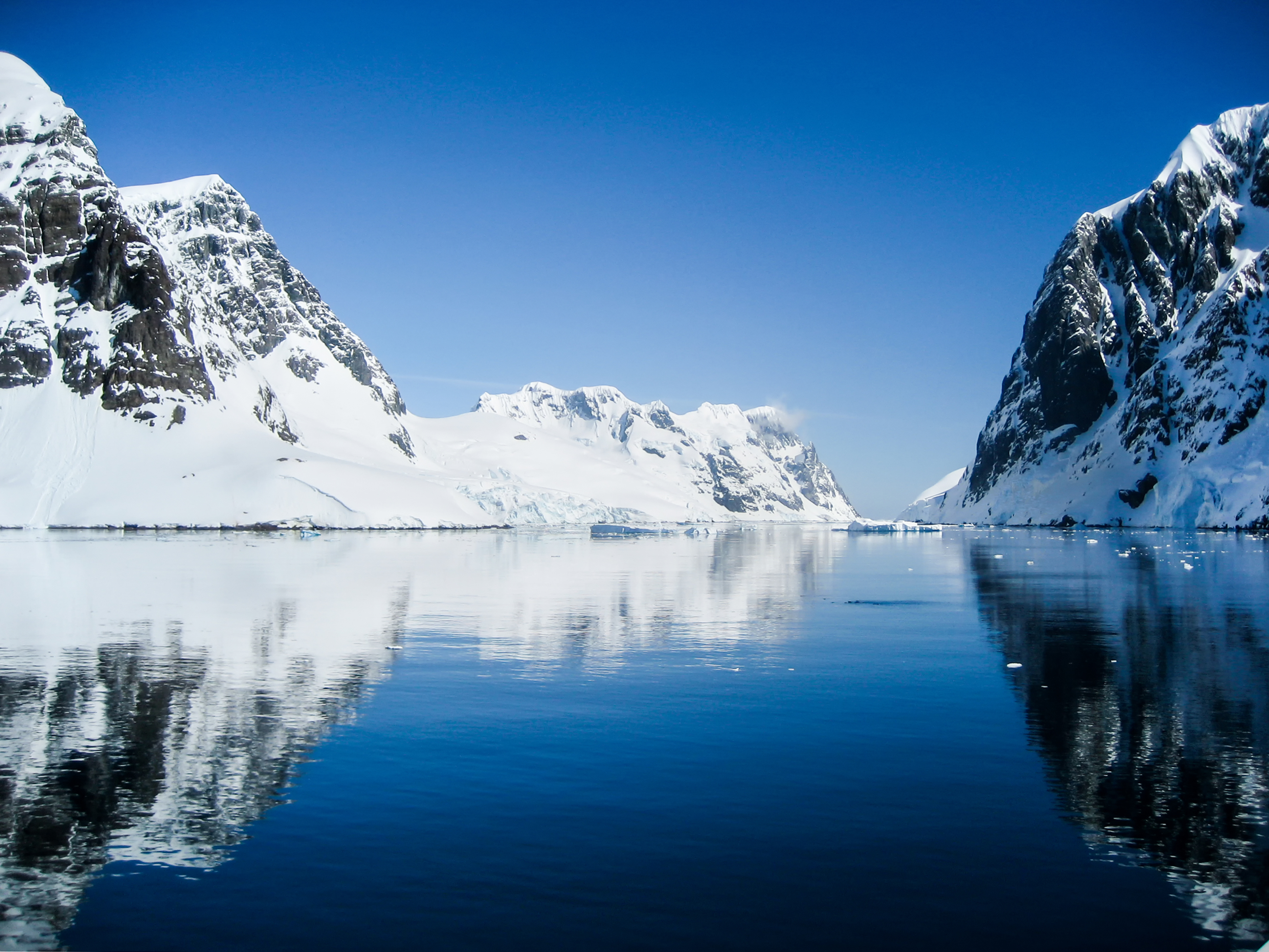 Krill Oil Benefits - www.silvertownhealth.co.uk